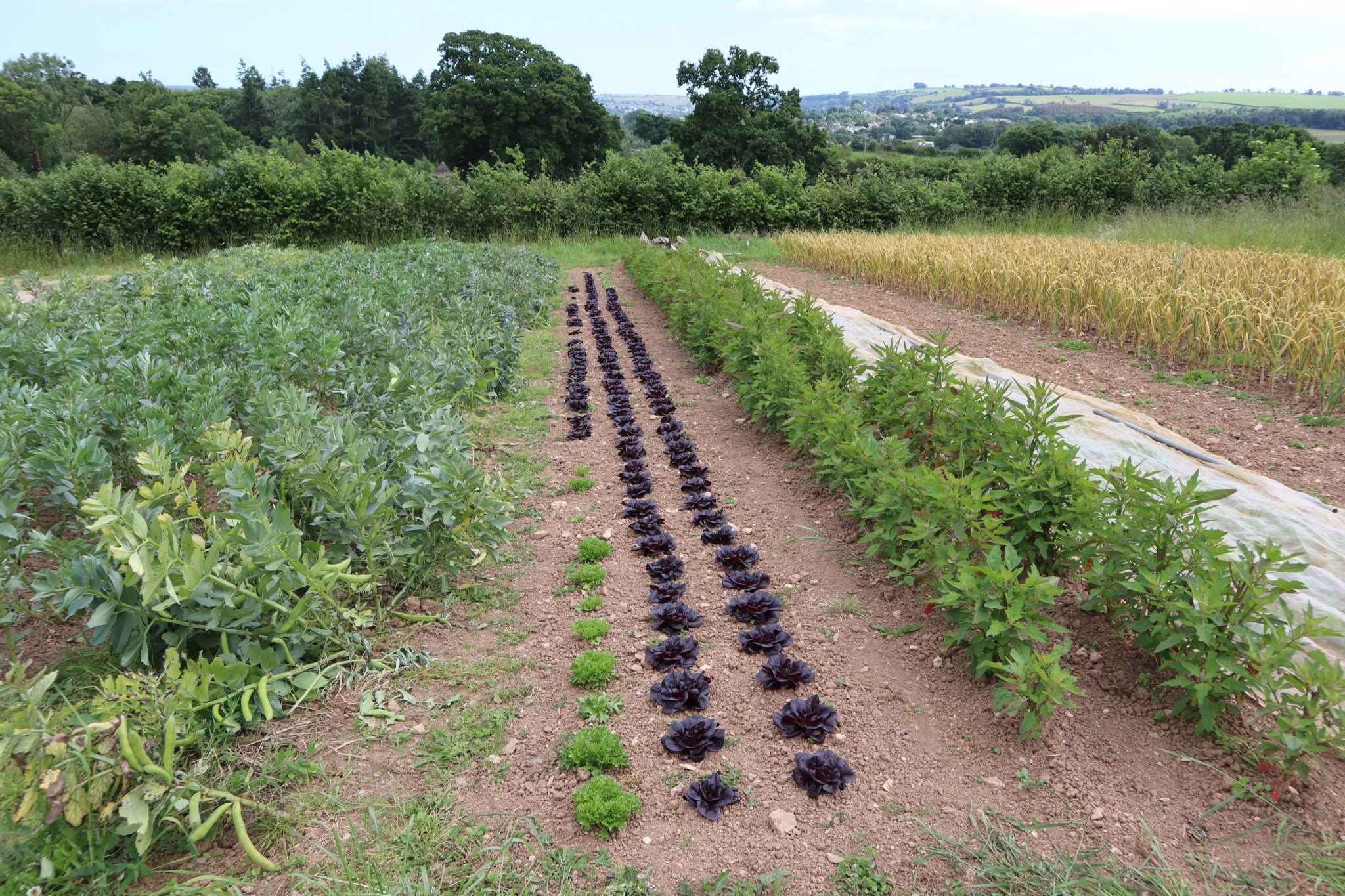 Reflective Experiences – ESKE PROJECT